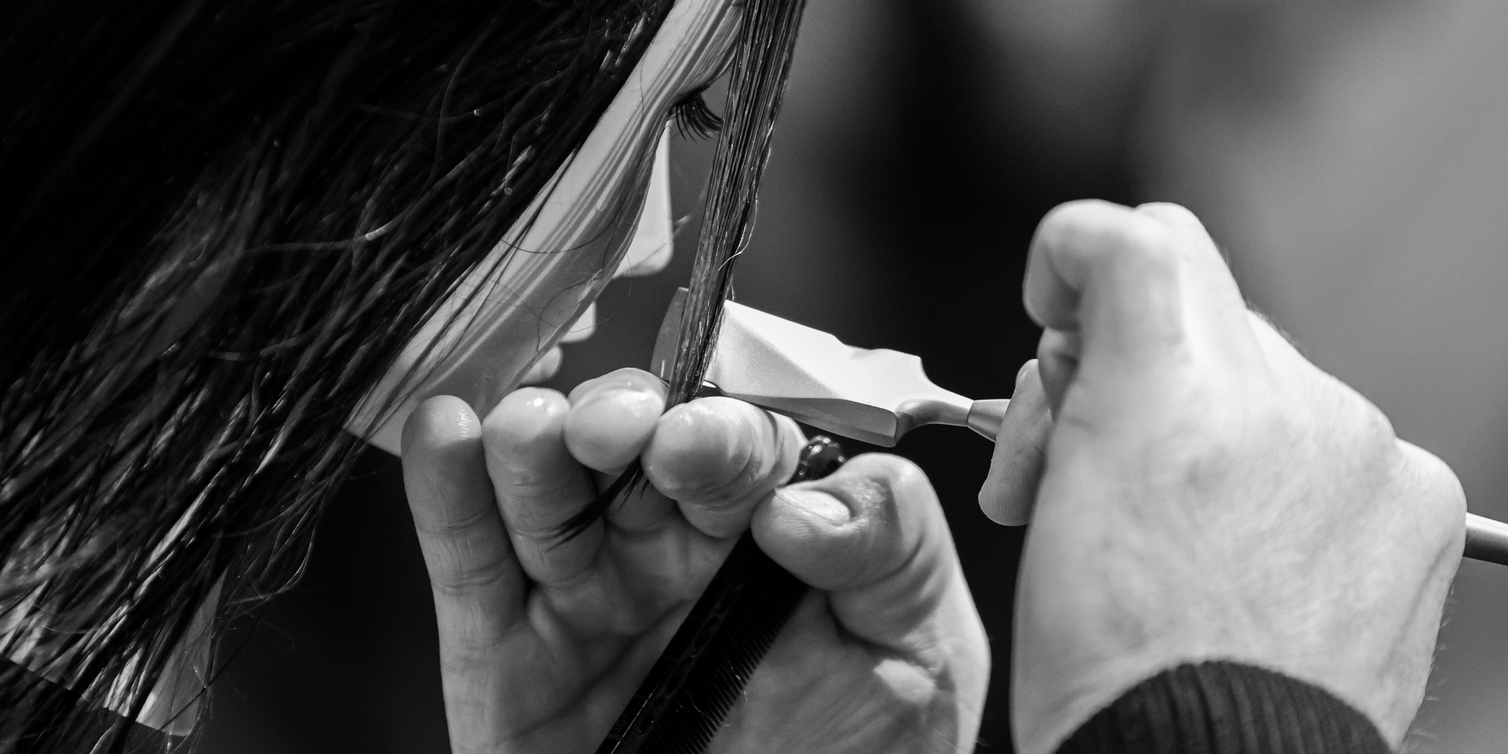 Events | calligraphy cut® US